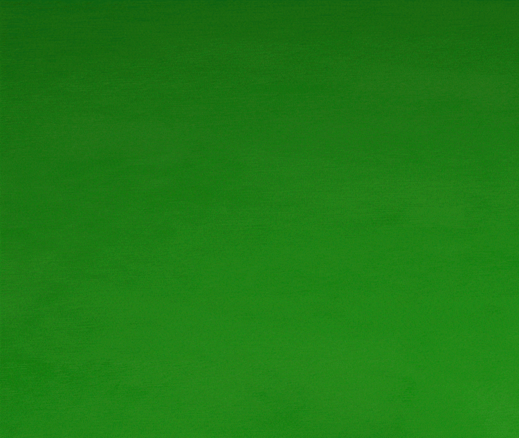 Workbook's Got Great GIFs - Workbook Weekly